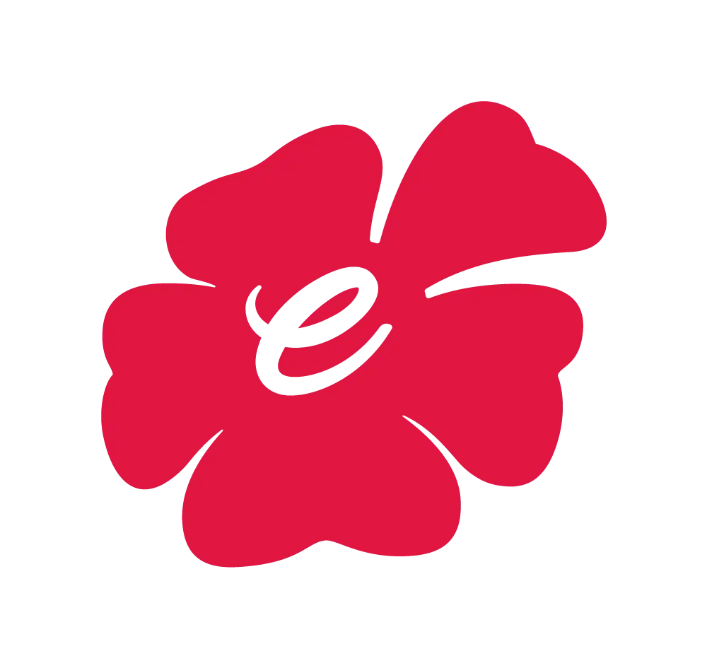 Accueil - ELNESS | Elness.co | vêtements colorés pour femmes du 42 au 54