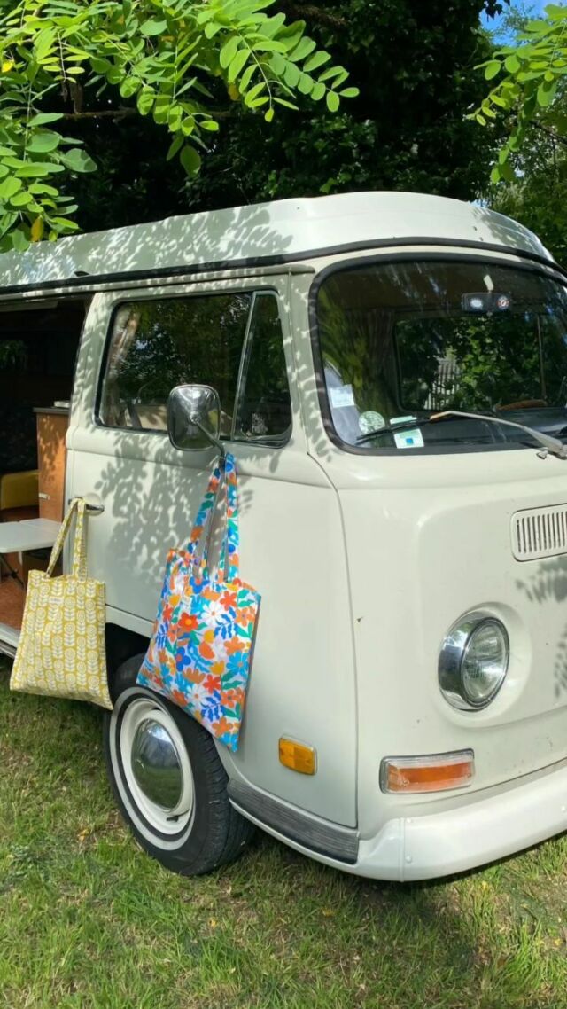 Accueil - ELNESS | Elness.co | vêtements colorés pour femmes du 42 au 54