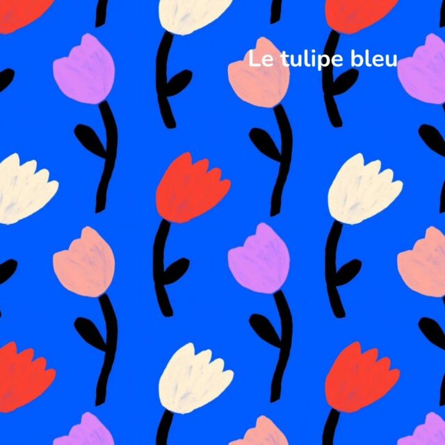 Accueil - ELNESS | Elness.co | vêtements colorés pour femmes du 42 au 54